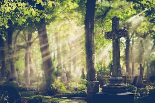 5 Simple Ways to Memorialize a Loved One This Spring | Beyond the Dash